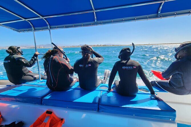 Swim with Whale Sharks in La Paz - Value and Pricing: Is It Worth It?