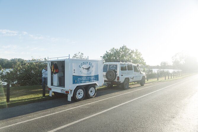 Swim with Whales Gold Coast - Who Might Want to Consider Other Options?