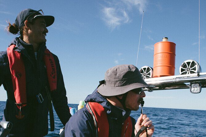 Swim with Whales Gold Coast - Practical Details