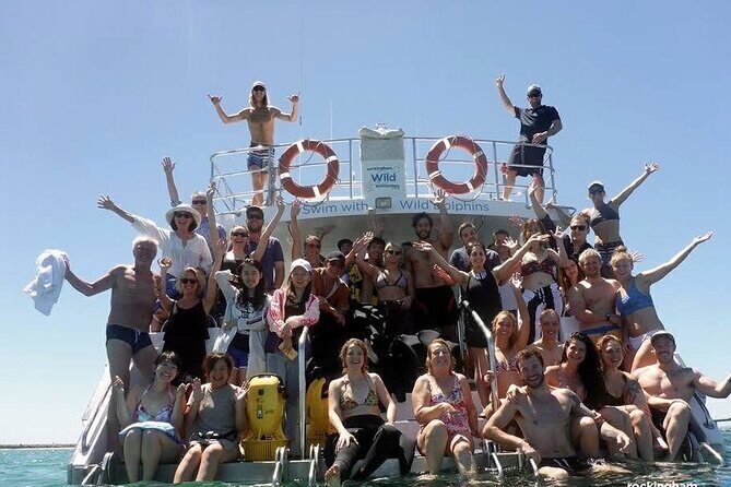 Swim with Wild Dolphins Day Tour - Who Is This Tour Best Suited For?