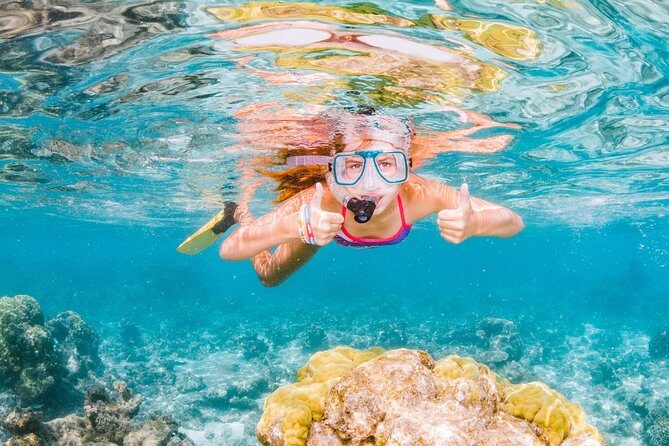 Swimming with the Whale Sharks - Ningaloo Reef (Exmouth) - The Experience: An Honest Breakdown