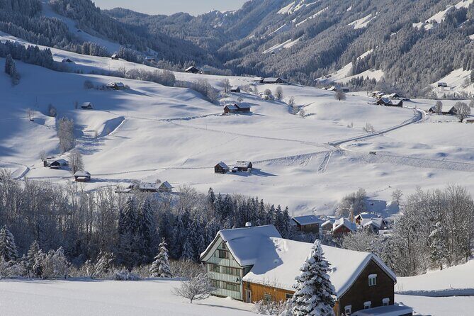 Swiss Alps and Waterfalls Private Tour from Zurich - Detailed Breakdown of the Itinerary