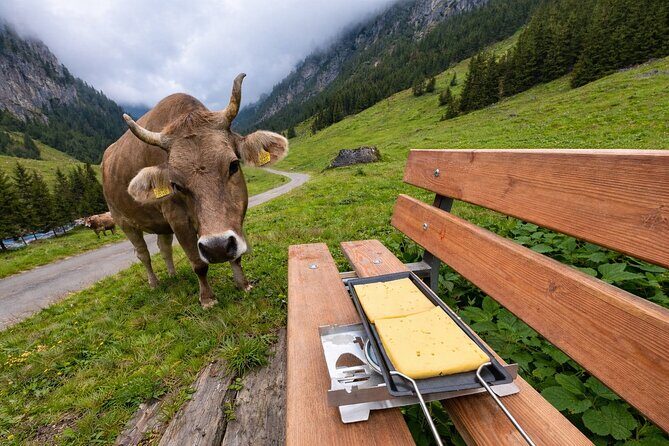 Swiss Alps and Waterfalls Private Tour from Zurich - Frequently Asked Questions