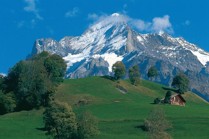 Swiss Alps: Interlaken and Grindelwald Day Trip from Zurich - An In-Depth Look at the Tour Experience