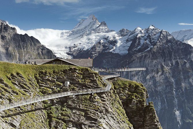 Swiss Alps: Interlaken and Grindelwald Day Trip from Zurich - Who Should Consider This Tour?