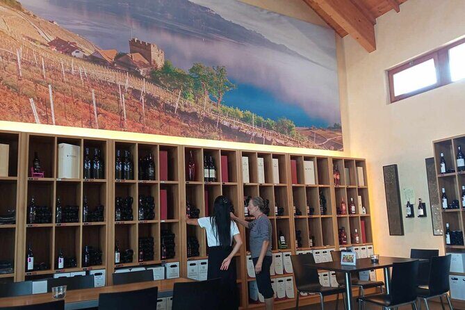 Swiss Vineyard Wine Tasting Tour in Vaud - Final Thoughts: Is this Tour For You?