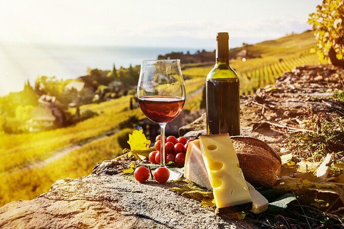 Swiss Wine Tasting at Lavaux Vineyards: Private Trip from Geneva - Introduction: A Scenic Swiss Wine Adventure