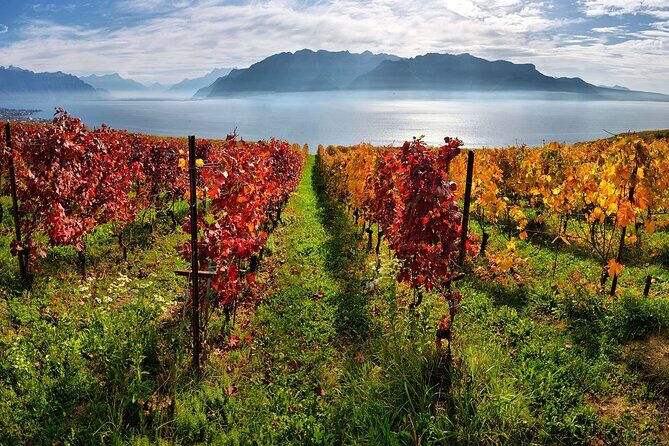 Swiss Wine Tasting at Lavaux Vineyards: Private Trip from Geneva - Transportation and Duration
