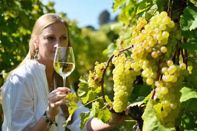 Swiss Wine Tasting at Lavaux Vineyards: Private Trip from Geneva - Who Is This Tour Best For?