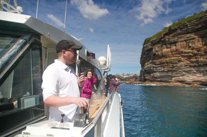 Sydney: 2.5-Hour Discovery Whale Watching Tour by Catamaran - FAQs