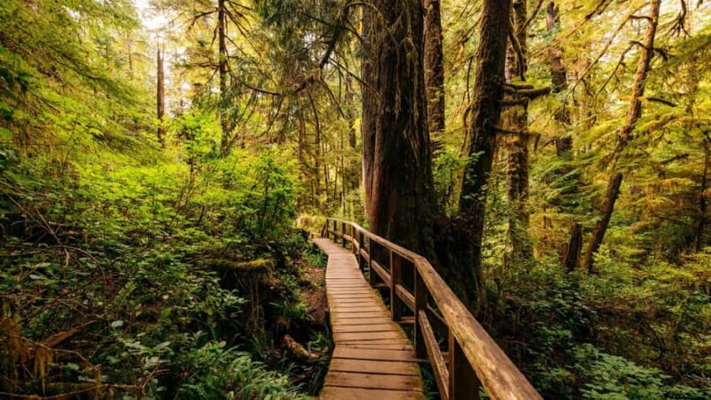 Sydney: 2-Day Private Tour to Blue Mountains and Kiama - Concluding Thoughts  