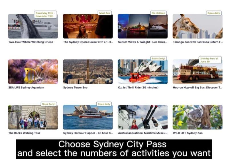 Sydney: 4-Day Tour with Hop-on Hop-off Bus & City Pass Combo - Authentic Insights from Past Travelers