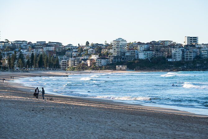 Sydney Airport Transfer to CBD with Harbour Ferry and Manly Tour - The Sum Up