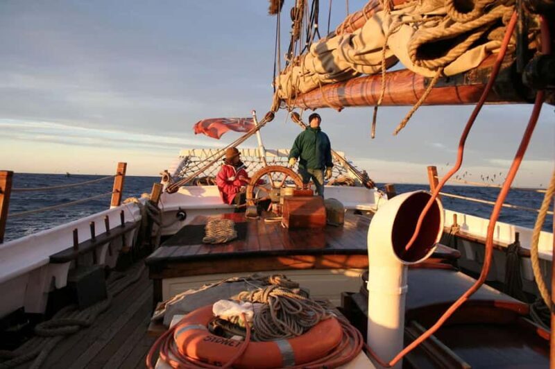 Sydney: Australia Day Tall Ship Cruise with Dinner & Drinks - A Closer Look at the Experience