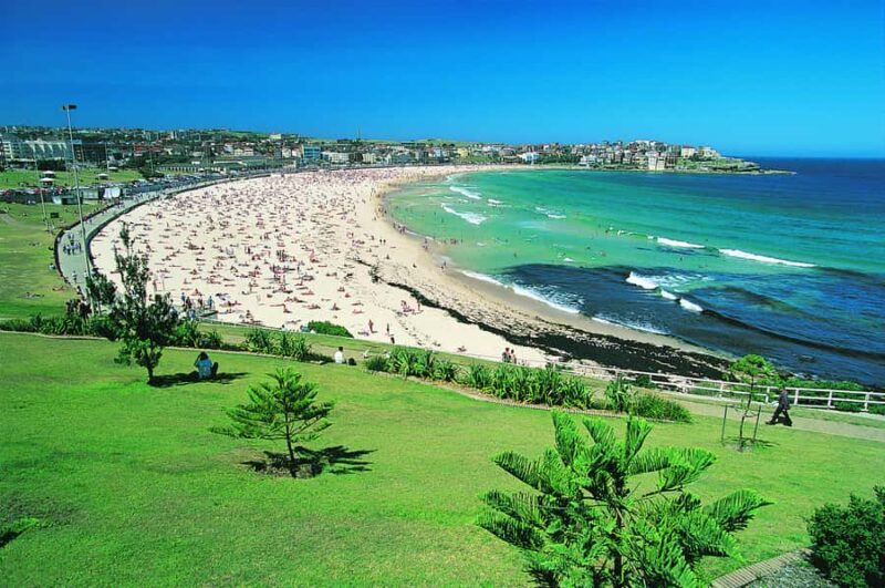 Sydney: Beaches and Lighthouse Day Trip - Final Thoughts: Who Will Love This Experience?