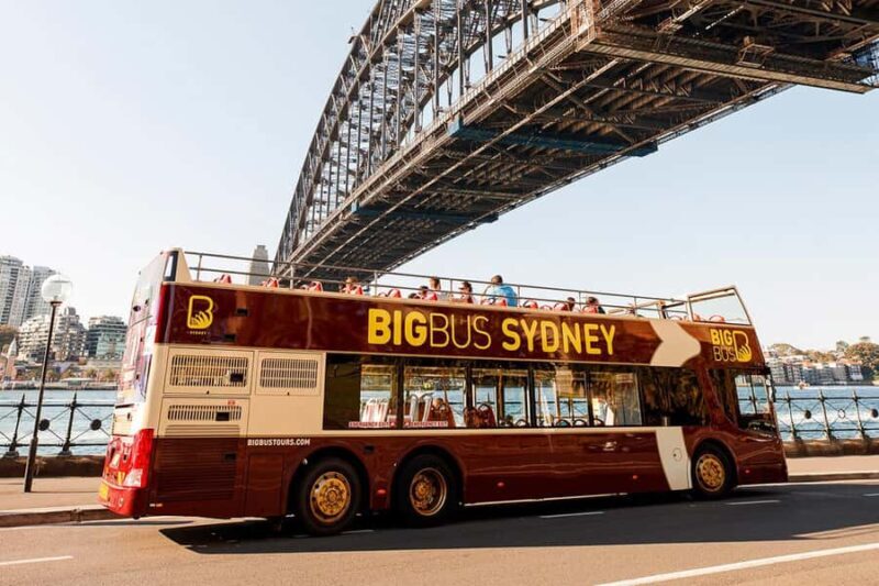 Sydney: Big Bus Hop-On Hop-Off Tour with Optional Cruise - What Travelers Say: Authentic Insights