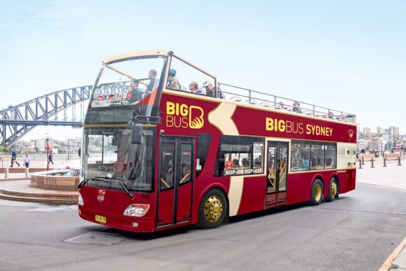 Sydney: Big Bus Hop-On Hop-Off Tour with Optional Cruise - Accessibility and Family Suitability