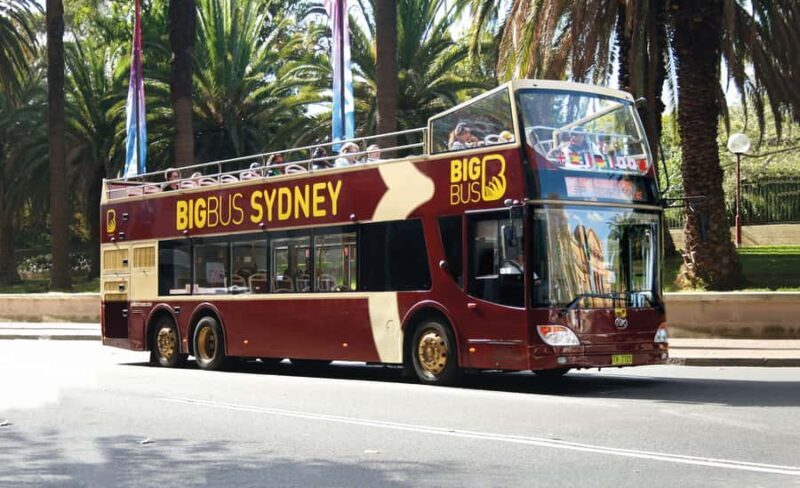 Sydney: Big Bus Hop-On Hop-Off Tour with Optional Cruise - The Sum Up