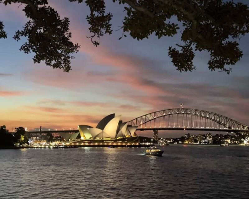 Sydney: Big Bus Panoramic Night Tour by Open-Top Bus - Who Is This Tour For?