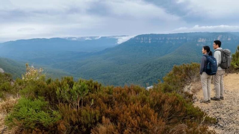 Sydney: Blue Mountains and F. Wildlife Park - Private Tour - An In-Depth Look at the Experience