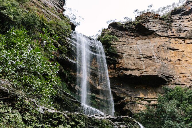 Sydney Blue Mountains Day Tour with Wildlife Park and Waterfalls - Key Points