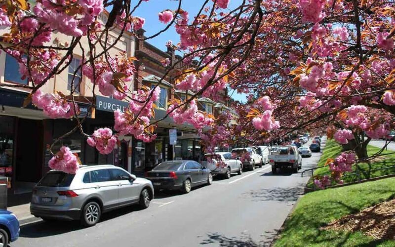 Sydney: Blue Mountains & Featherdale Wildlife Park Day Trip - FAQ