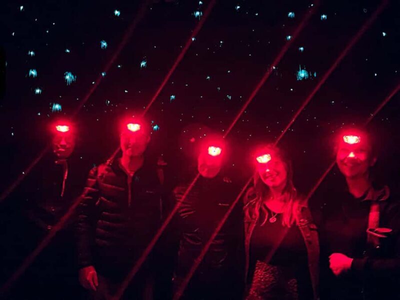 Sydney: Blue Mountains Glow Worms Wild Adventure by Night - Final Thoughts: Who Will Love This Tour?