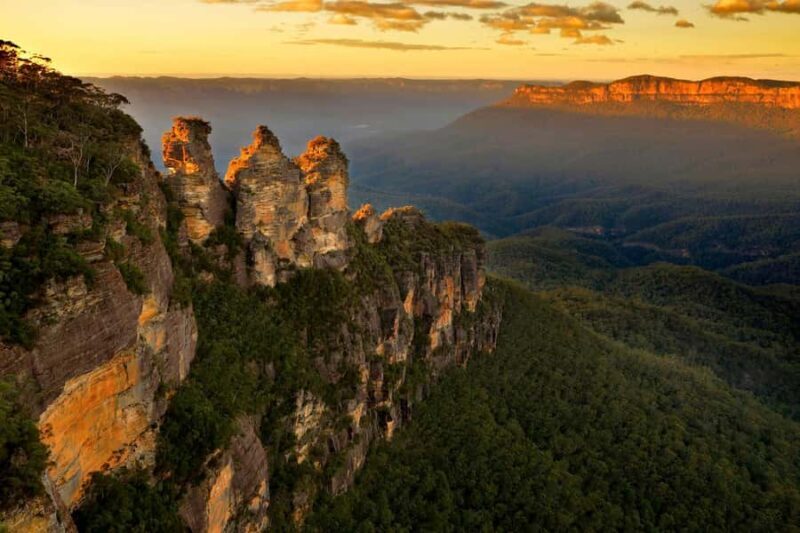 Sydney: Blue Mountains Kangaroos, Wilderness and Sunset Tour - A Detailed Look at the Blue Mountains Small-Group Tour