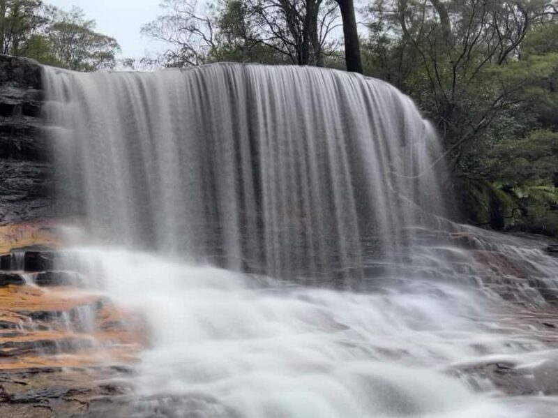 Sydney: Blue Mountains National Park Tour with River Cruise - Practical Aspects and What to Expect