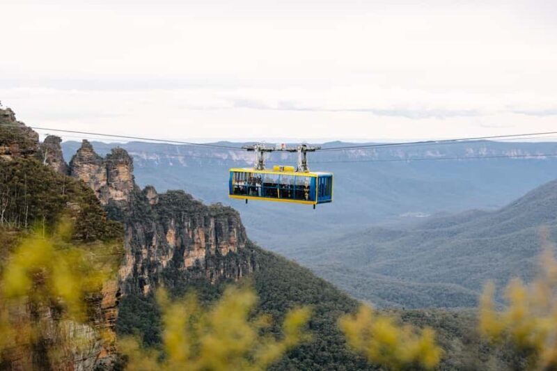 Sydney: Blue Mountains Scenic World, Wildlife Park and Lunch - Practical Details and Tips