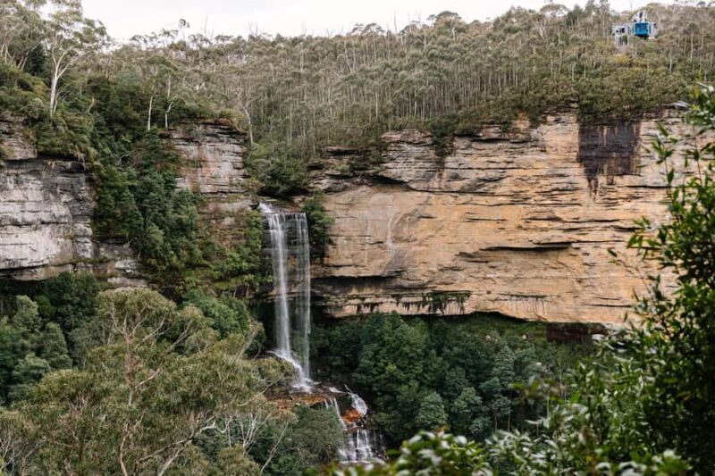 Sydney: Blue Mountains Scenic World, Wildlife Park and Lunch - Authentic Experiences According to Reviewers
