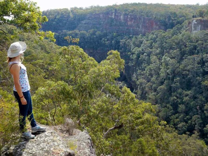 Sydney: Blue Mountains, Scenic World, & Zoo Day Trip - Who This Tour Is Best For