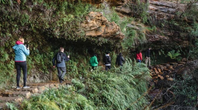 Sydney: Blue Mountains Wildlife & Bushwalk Small-Group Tour - Who Will Enjoy This Experience Most?  
