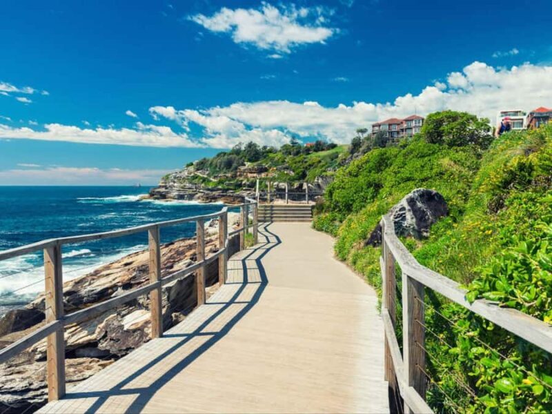 Sydney: Bondi to Coogee Hike with Ala Carte Lunch - What to Expect During the Tour  