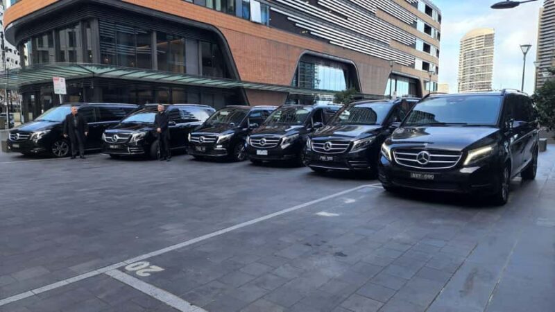 Sydney CBD to Blue Mountain private Day Tour 10 hours - Wildlife Encounters and Unique Experiences