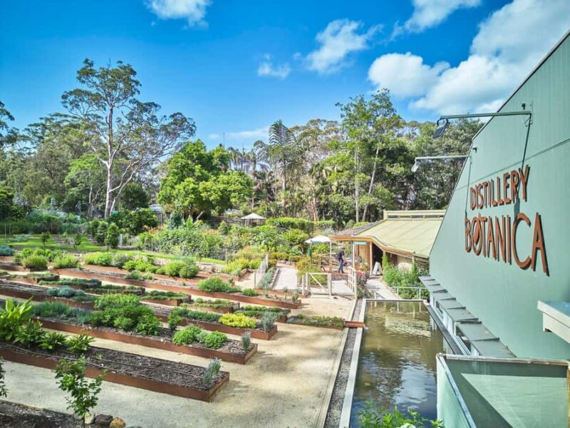 Sydney: Central Coast Day Trip with Wildlife Sanctuary - What to Expect: A Day Filled with Scenic Views and Unique Stops