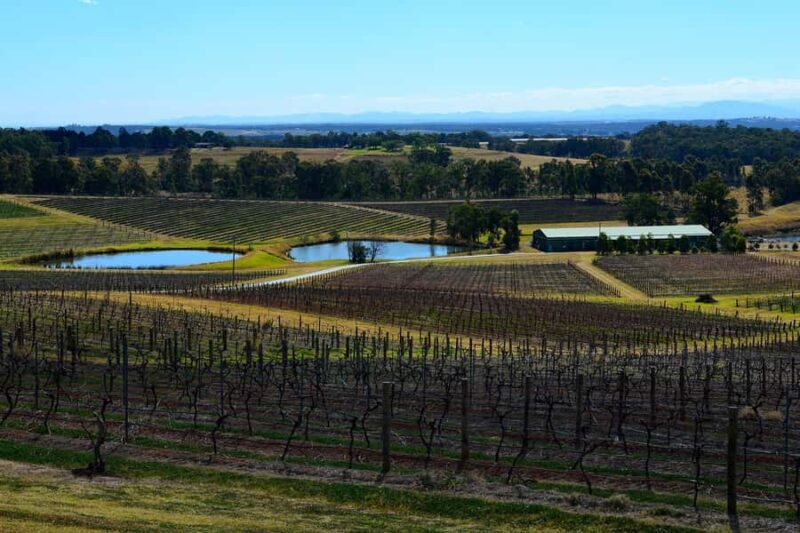 Sydney: Chef-Led Hunter Valley Food & Wine Tour - Authenticity and Personal Touch