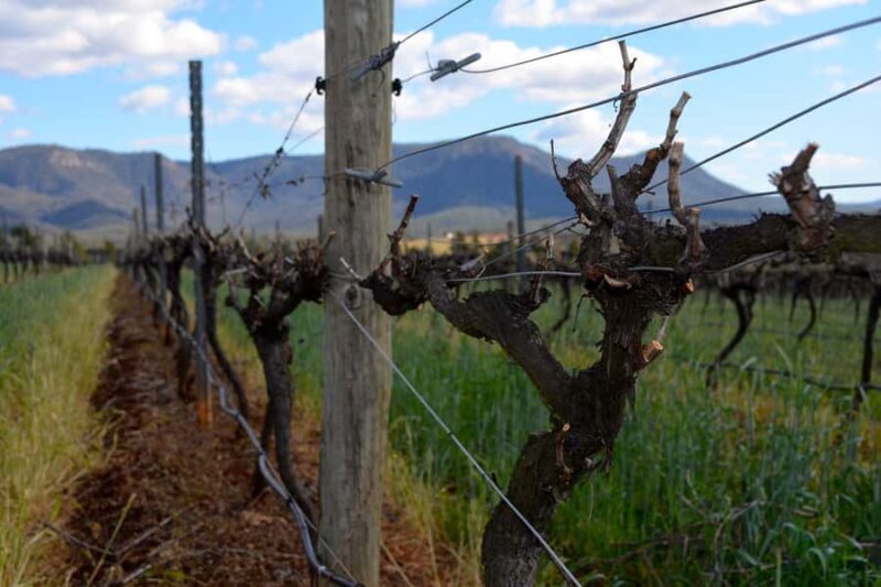 Sydney: Chef-Led Hunter Valley Food & Wine Tour - FAQ