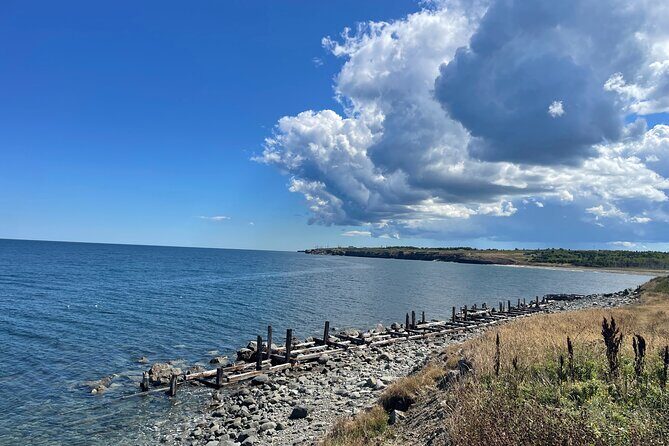 Sydney City & Coastline Tour - Practical Details and Considerations