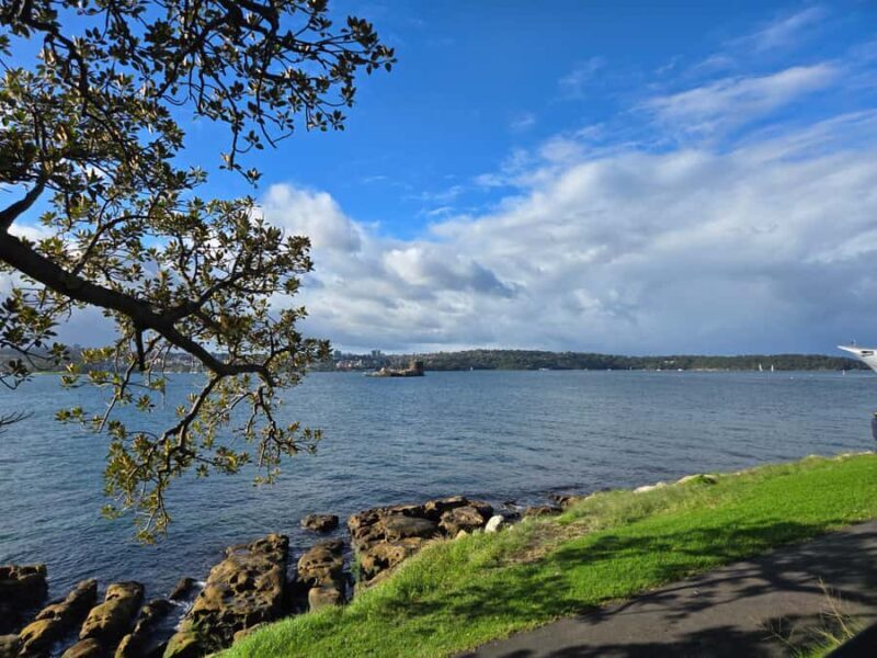 Sydney: City Hidden Gem Half-Day Tour - Exploring Sydney in 3.5 Hours