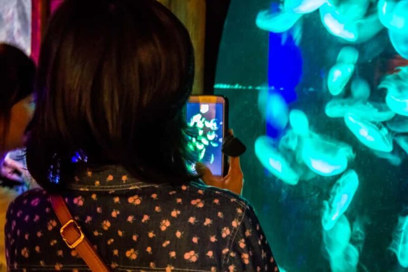 Sydney: Combo Pass for 2, 3, or 4 Top City Attractions - FAQ