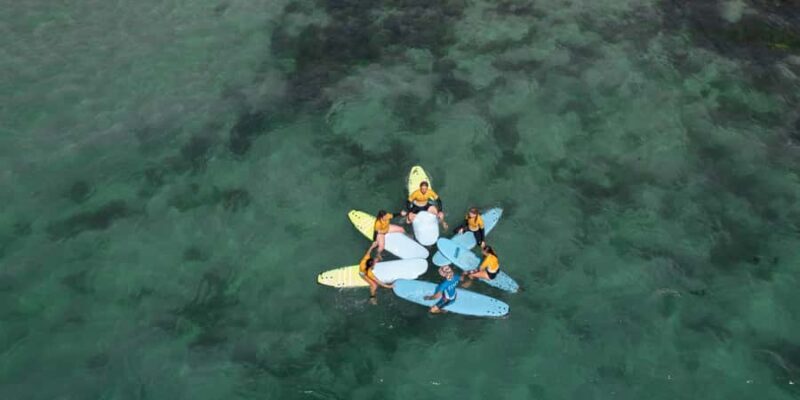 Sydney: Dee Why Beach Group Surfing Lesson - What to Expect During the Lesson