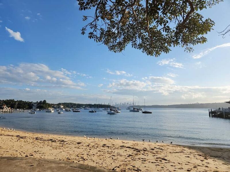 Sydney East Coast Tour - Final Thoughts