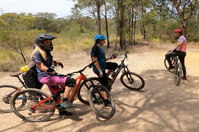 Sydney Electric Mountain Bike Guided Tour - Detailed Breakdown of the Itinerary