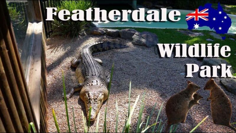 Sydney: Featherdale Park & Sydney Zoo Day Tour - Exploring the Itinerary in Detail