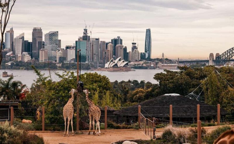 Sydney: Featherdale Park & Sydney Zoo Day Tour - Authentic Voices and Insights