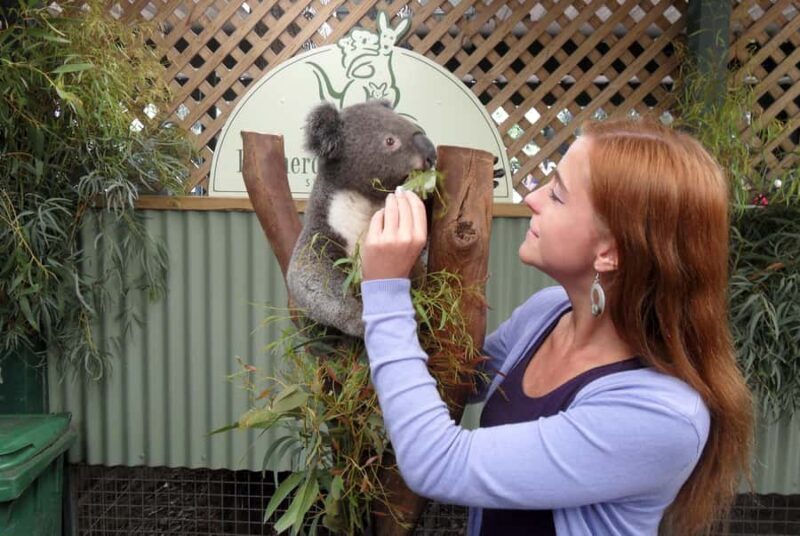 Sydney: Featherdale Wildlife Park Private Tour - Key Points