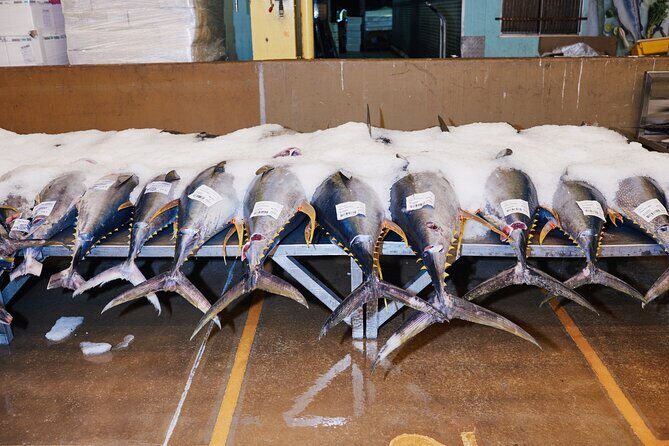 Sydney Fish Market Behind the Scenes Tour - In-Depth Look at the Sydney Fish Market Behind the Scenes Tour