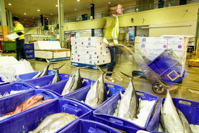 Sydney Fish Market Behind the Scenes Tour - The Itinerary Breakdown