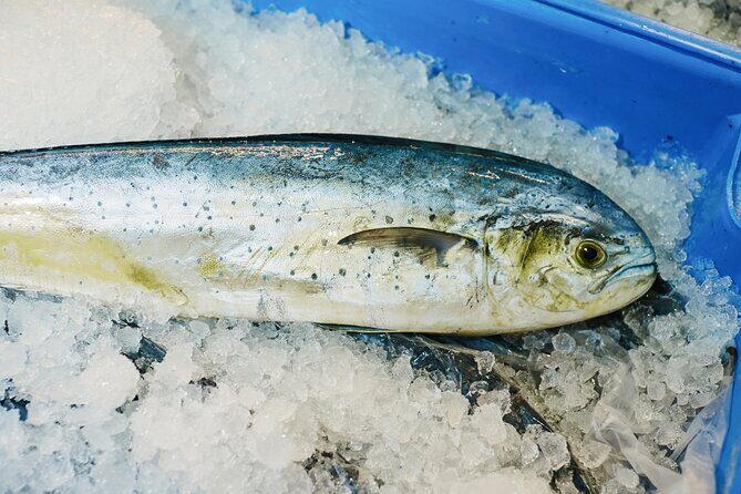Sydney Fish Market Behind the Scenes Tour - The Value Proposition